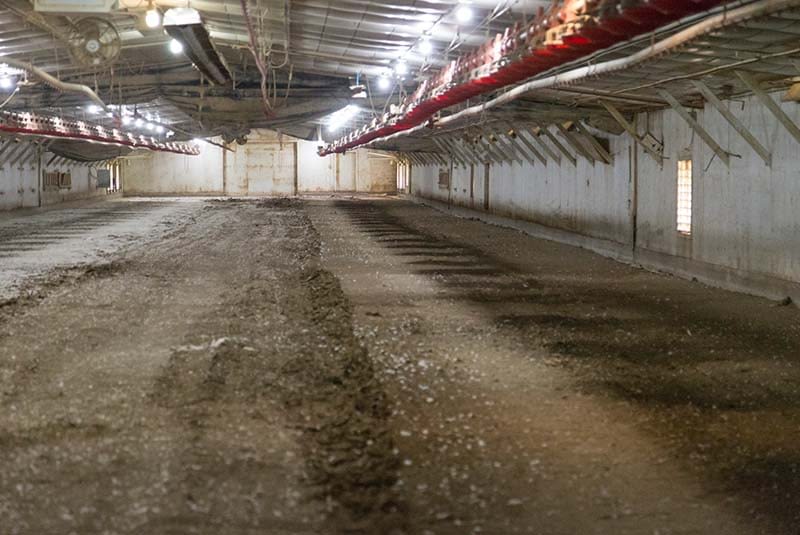 Windrow Composting - Chicken Litter Compost | Better Chicken Houses