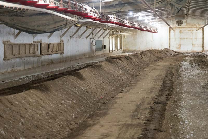 Windrow Composting - Chicken Litter Compost | Better Chicken Houses