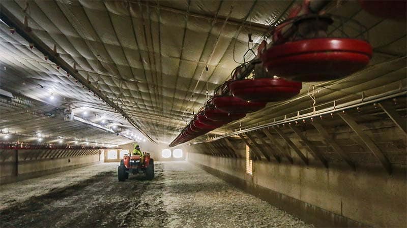 Poultry House Blower by Buffalo Turbine Blower | Better Chicken Houses